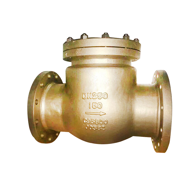 Marine Check Valve - 盛世流体科技有限公司